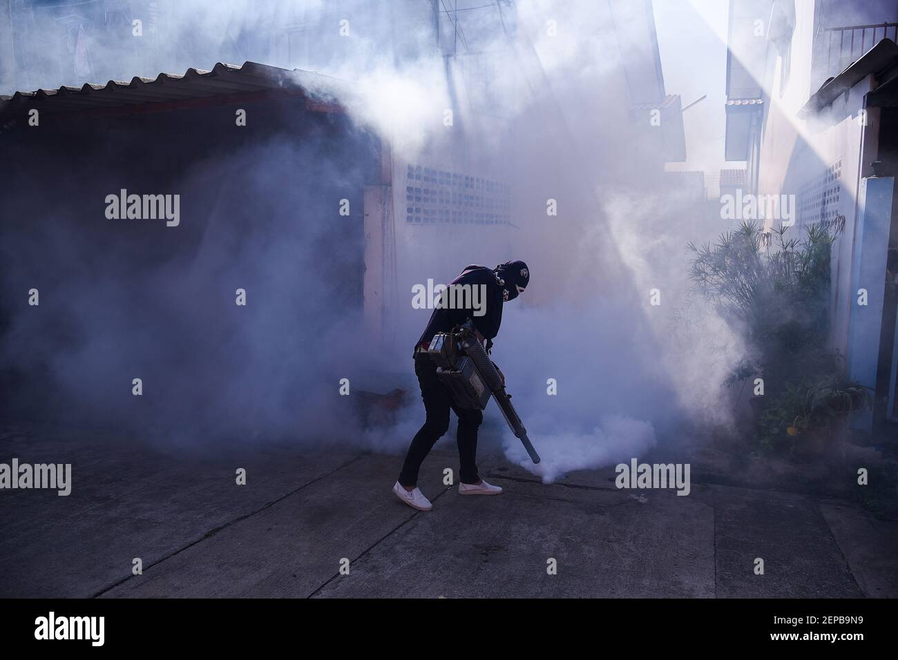 Man spray fogging to eliminate mosquitoes that cause dengue hemorrhagic ...