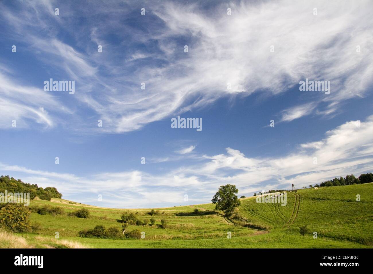Holzland hi-res stock photography and images - Alamy