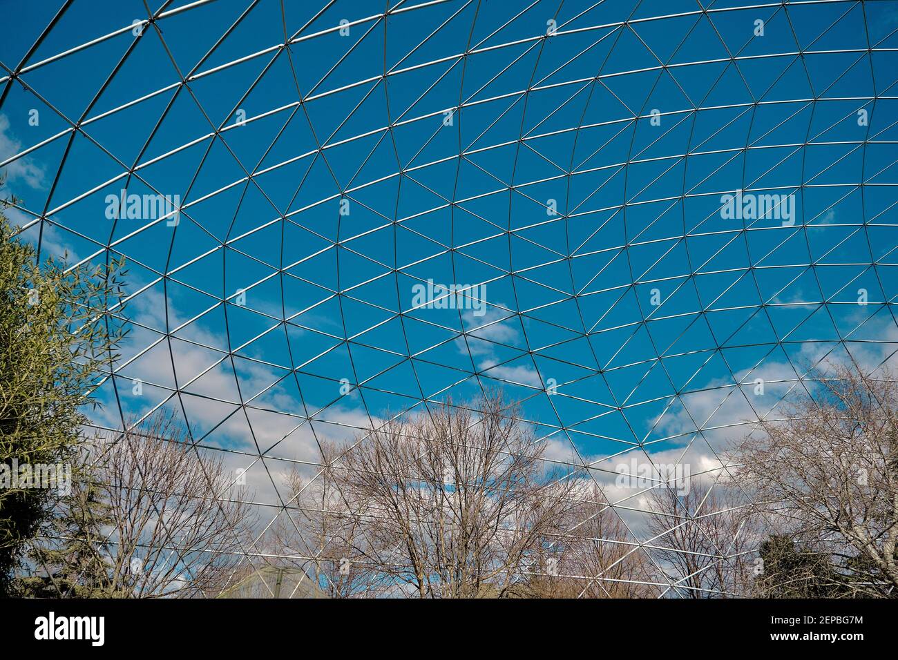 inside big cage in zoo. dried tree, plant with magnificent blue sky and ...