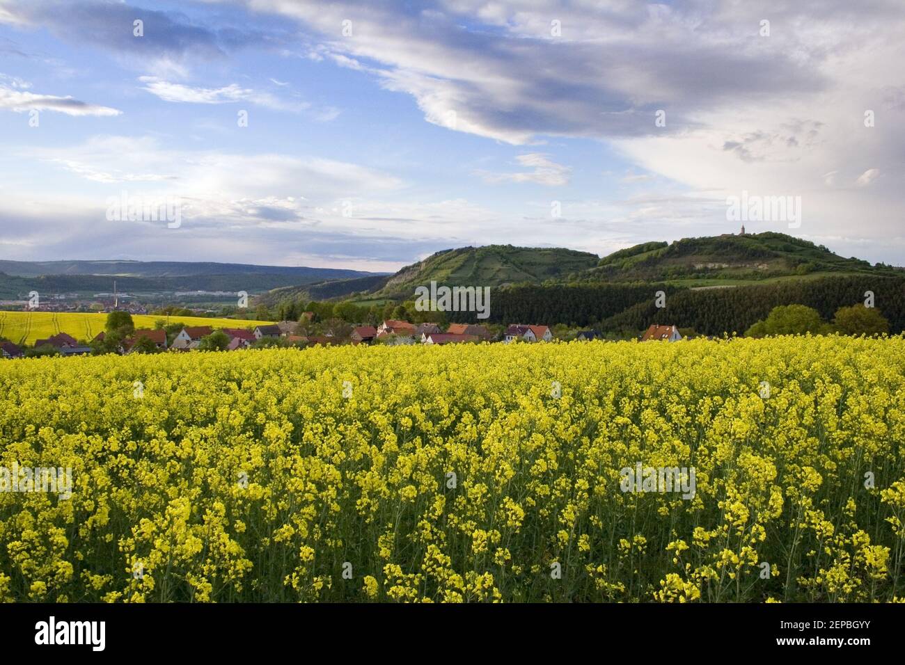 The light castle in the spring Stock Photo - Alamy