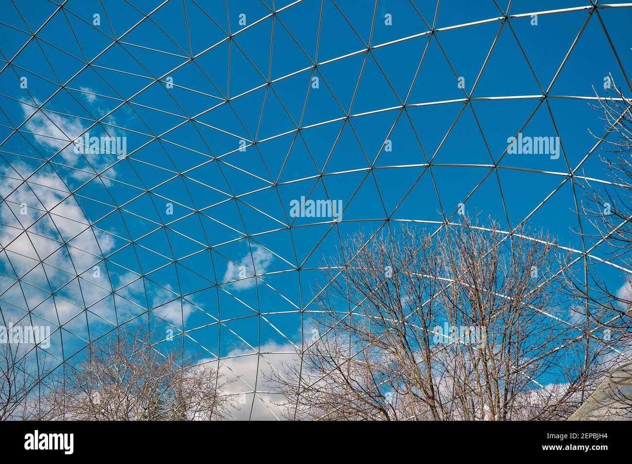 inside big cage in zoo. dried tree, plant with magnificent blue sky and ...