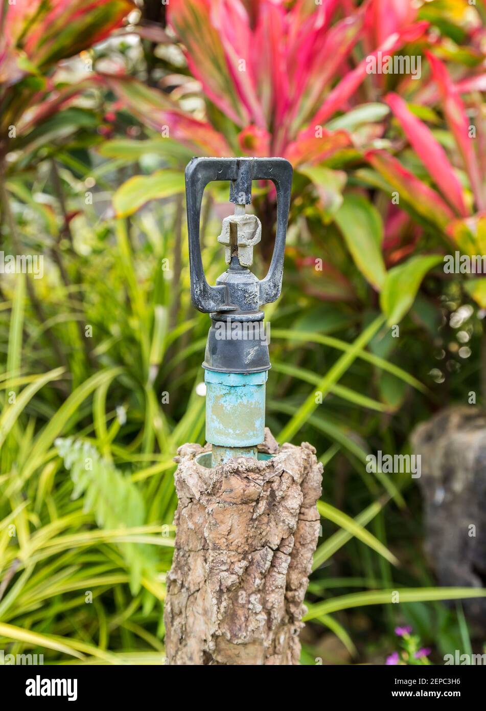 Springer water hi-res stock photography and images - Alamy