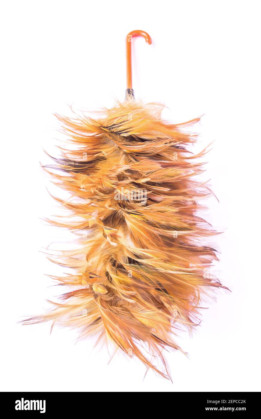 Feather cleaning on isolated white background Stock Photo - Alamy