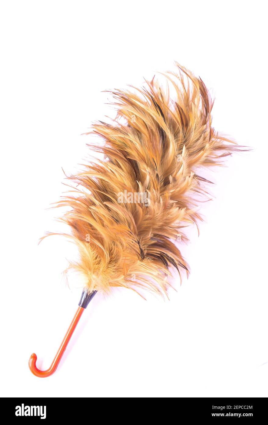 Feather cleaning on isolated white background Stock Photo - Alamy