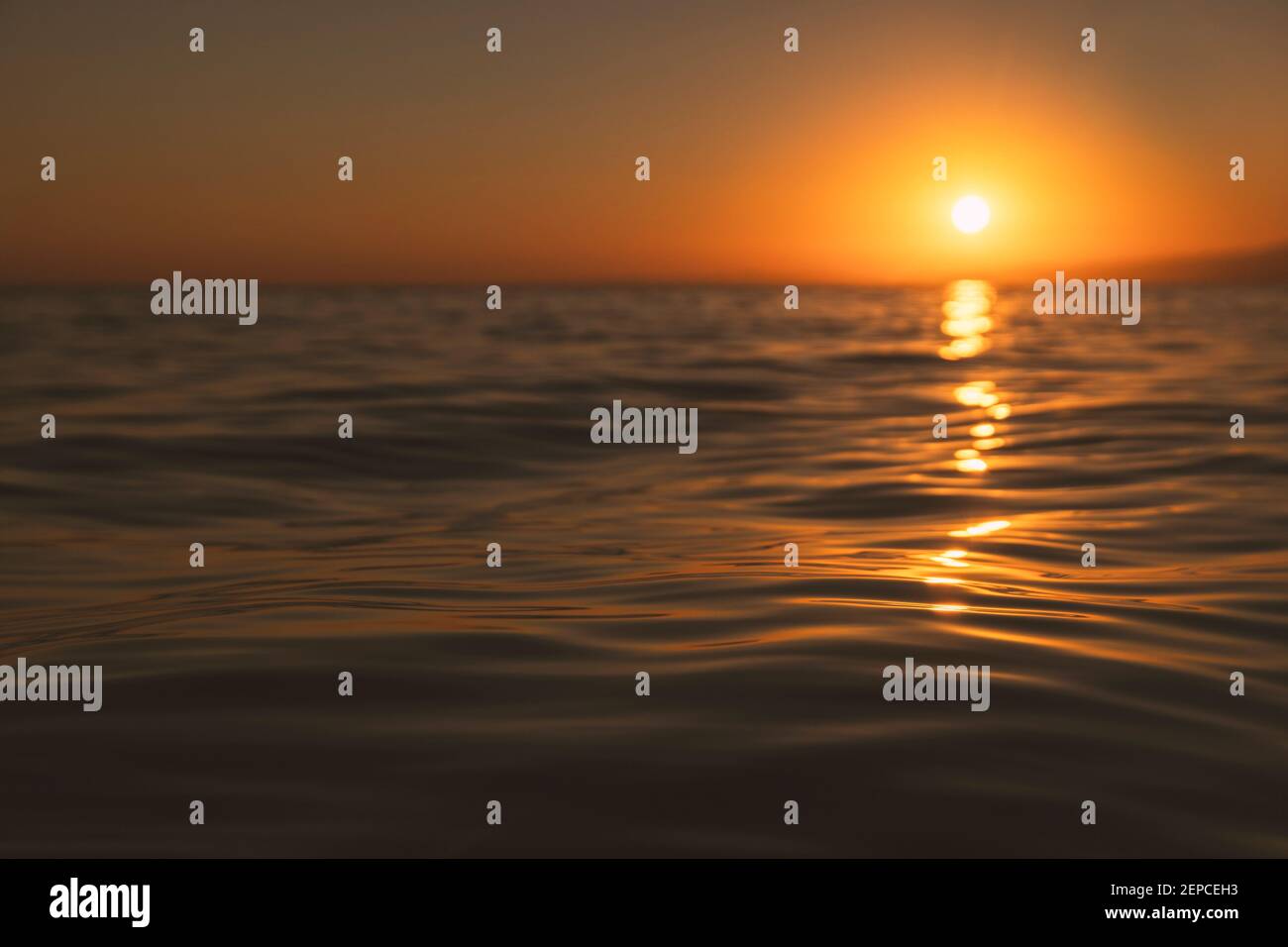 Reflecting on nature and life with an ocean view hi-res stock ...