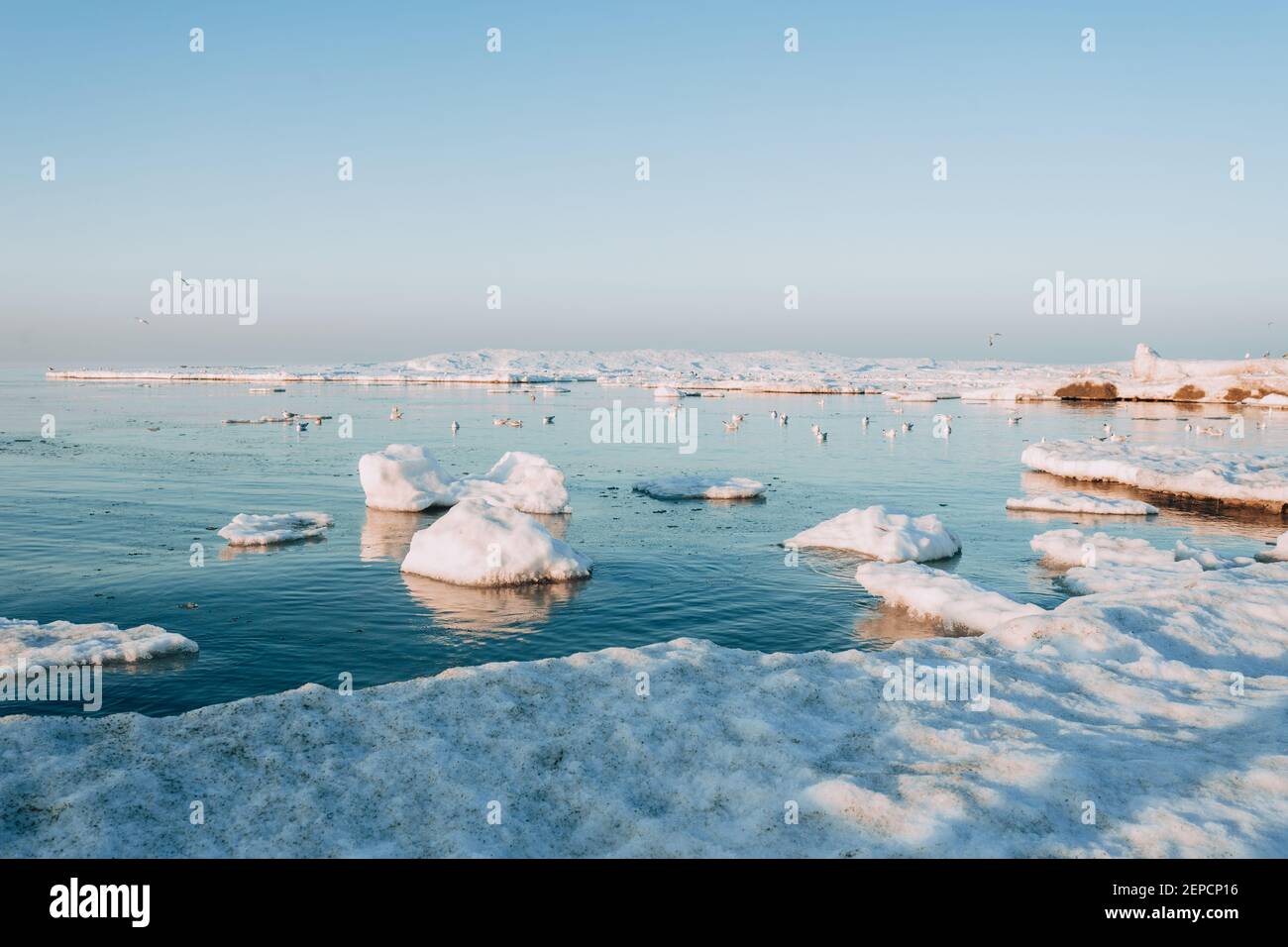Winter coastal landscape with floating ice. Baltic sea in evening light ...