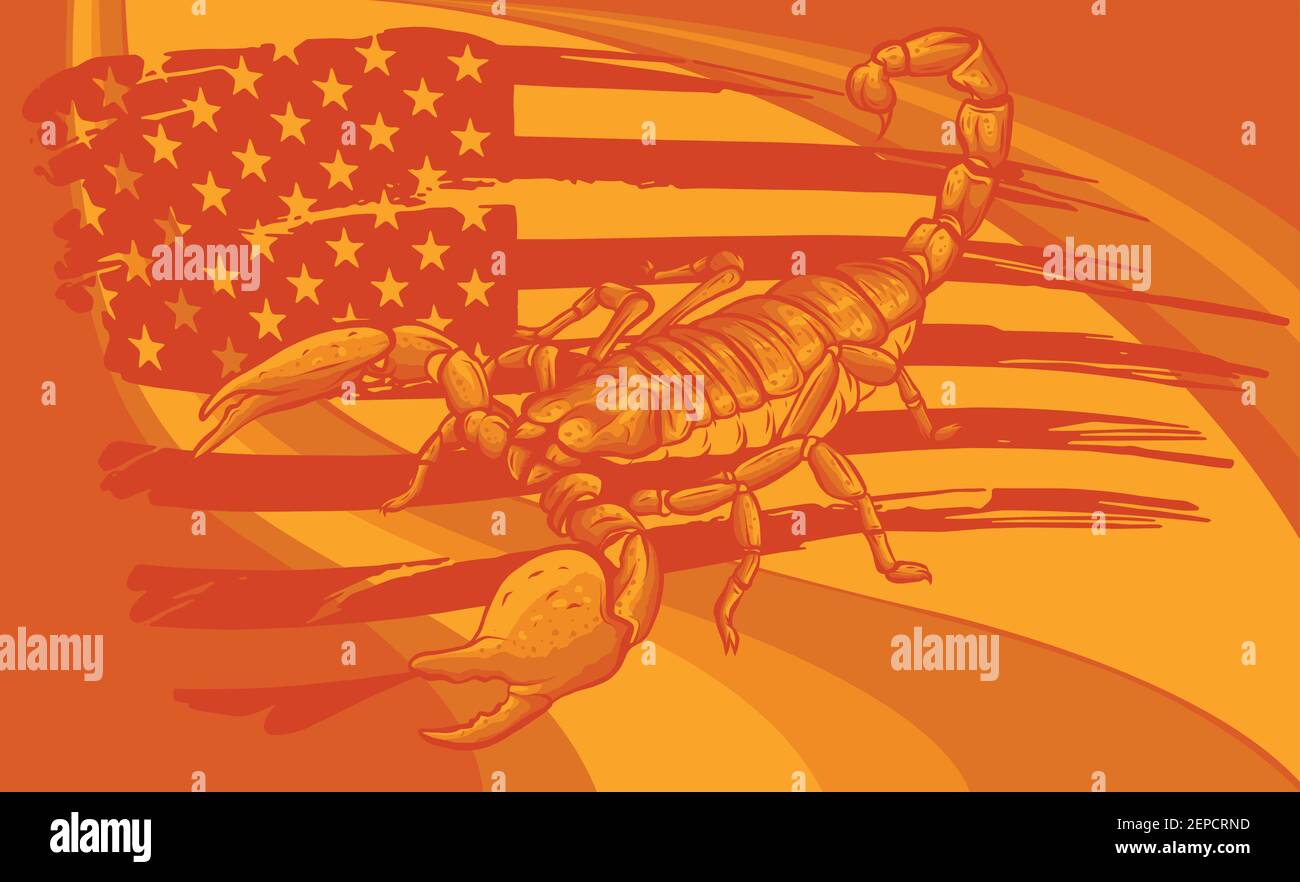 American scorpion hi-res stock photography and images - Alamy