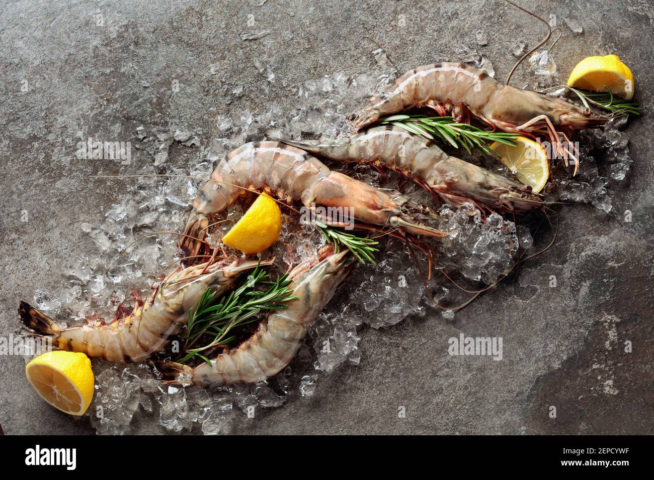 Fresh tiger prawns with lemon, rosemary and crushed ice, top view with ...