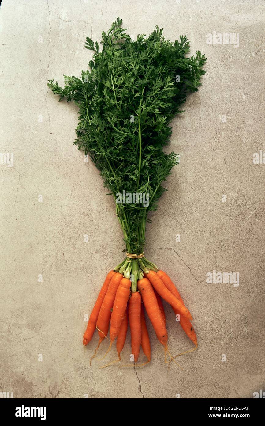 bunch of clean young carrots with tops Stock Photo - Alamy