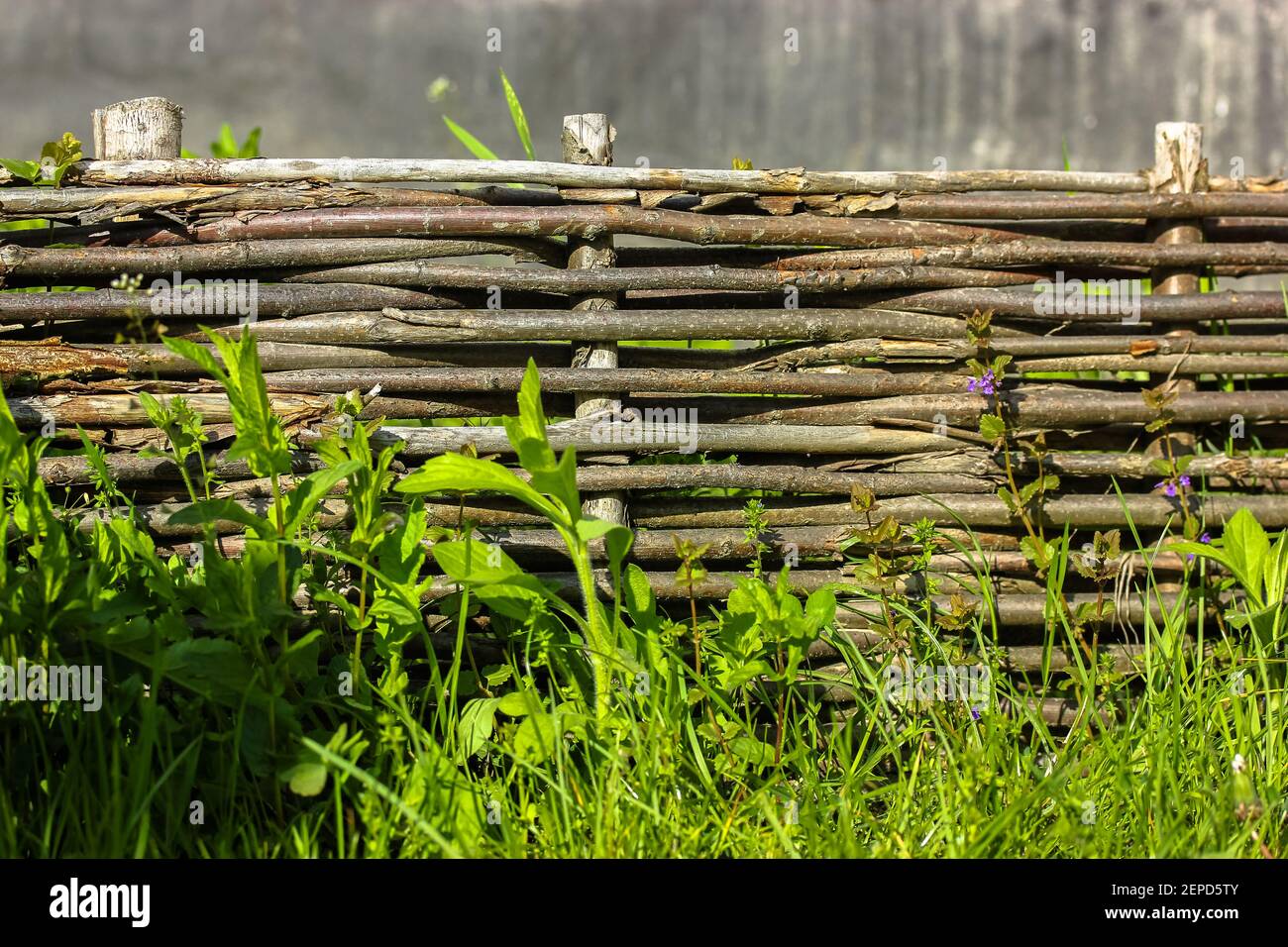 Handmade wooden wicker fence in Ukrainian style, green grass Stock ...