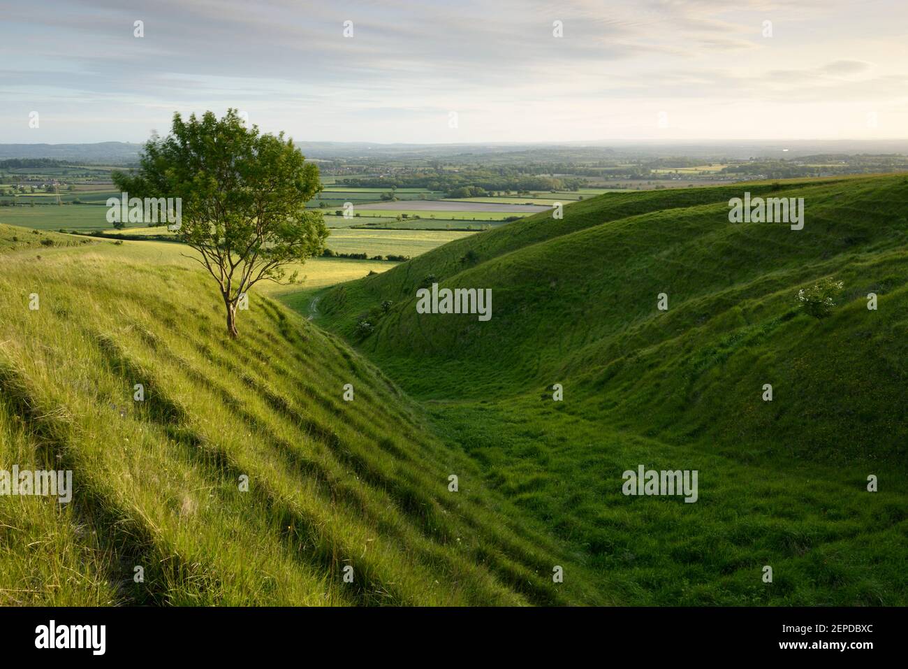 Roundway hill devizes hi-res stock photography and images - Alamy