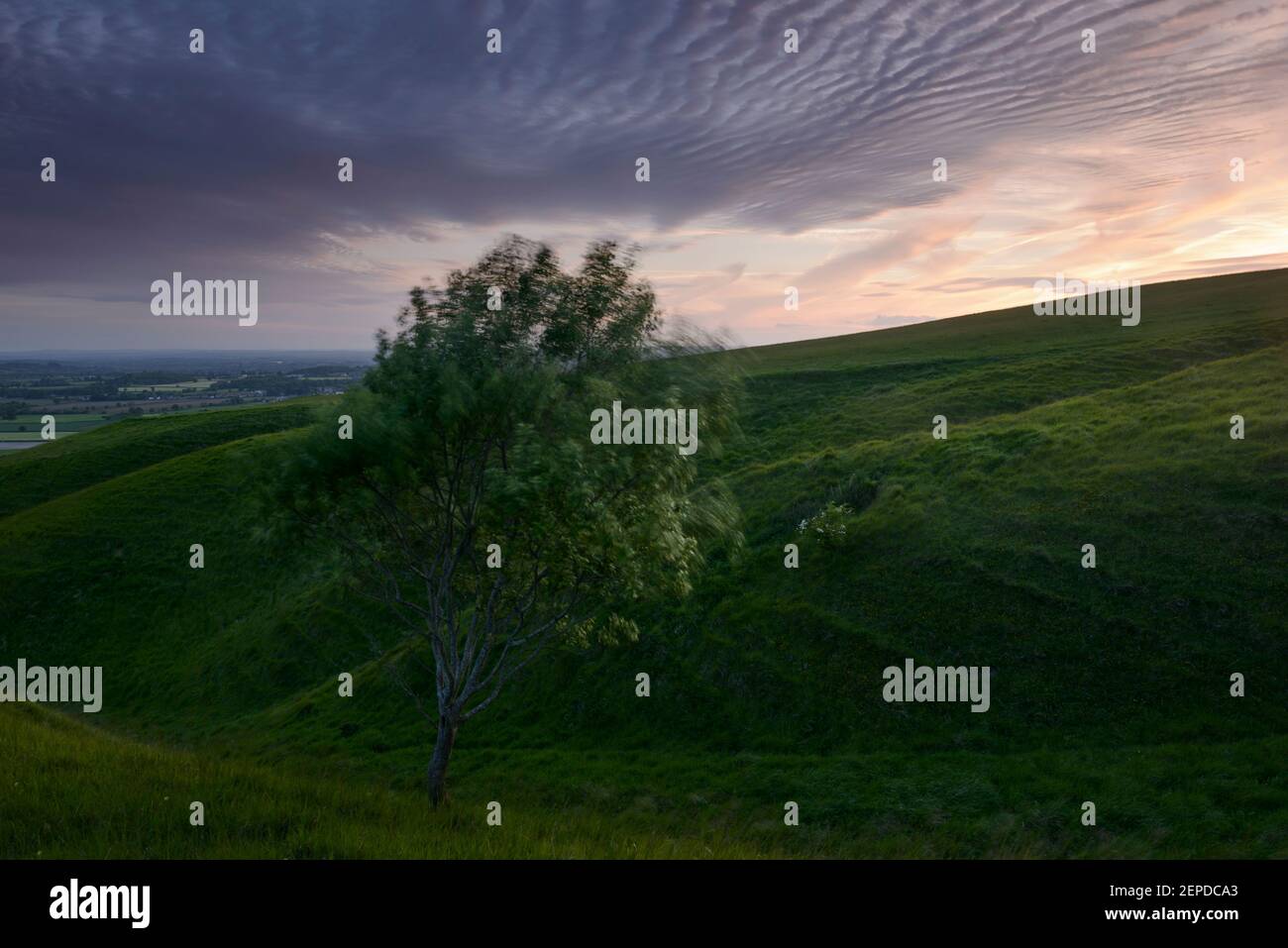 Roundway hill devizes hi-res stock photography and images - Alamy