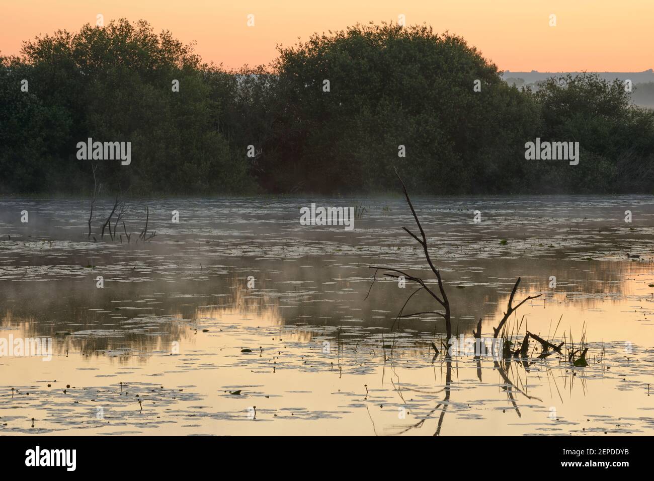 Shapwick heath dawn hi-res stock photography and images - Alamy