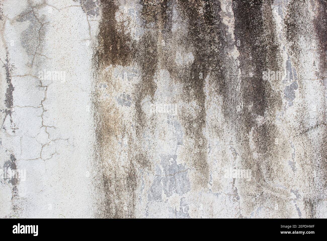 Vintage wall background of natural cement or stone old texture as a ...
