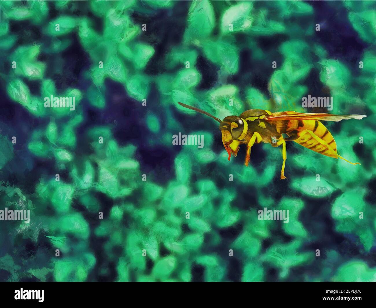 Wasp in flight. Close-up. Artistic work Stock Photo - Alamy