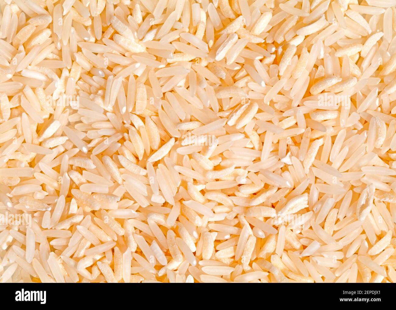 Uncooked golden rice grain hi-res stock photography and images - Alamy