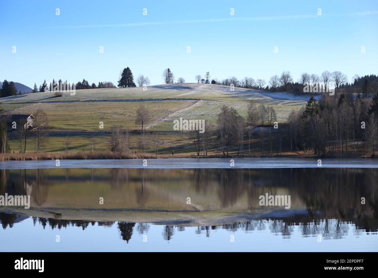 Little lake near the bavarian village Bad Bayersoien Stock Photo - Alamy