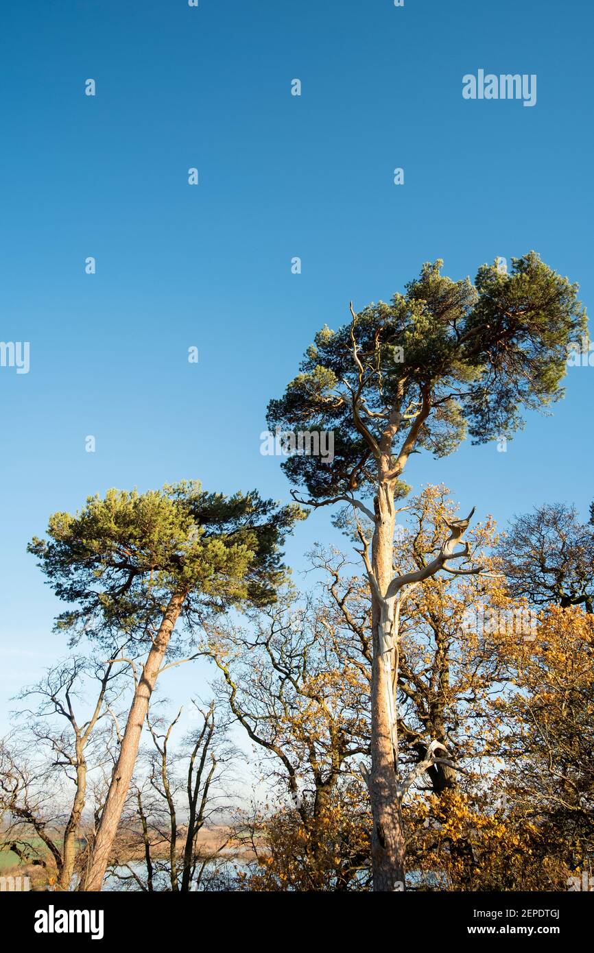 High tall lofty hi-res stock photography and images - Alamy