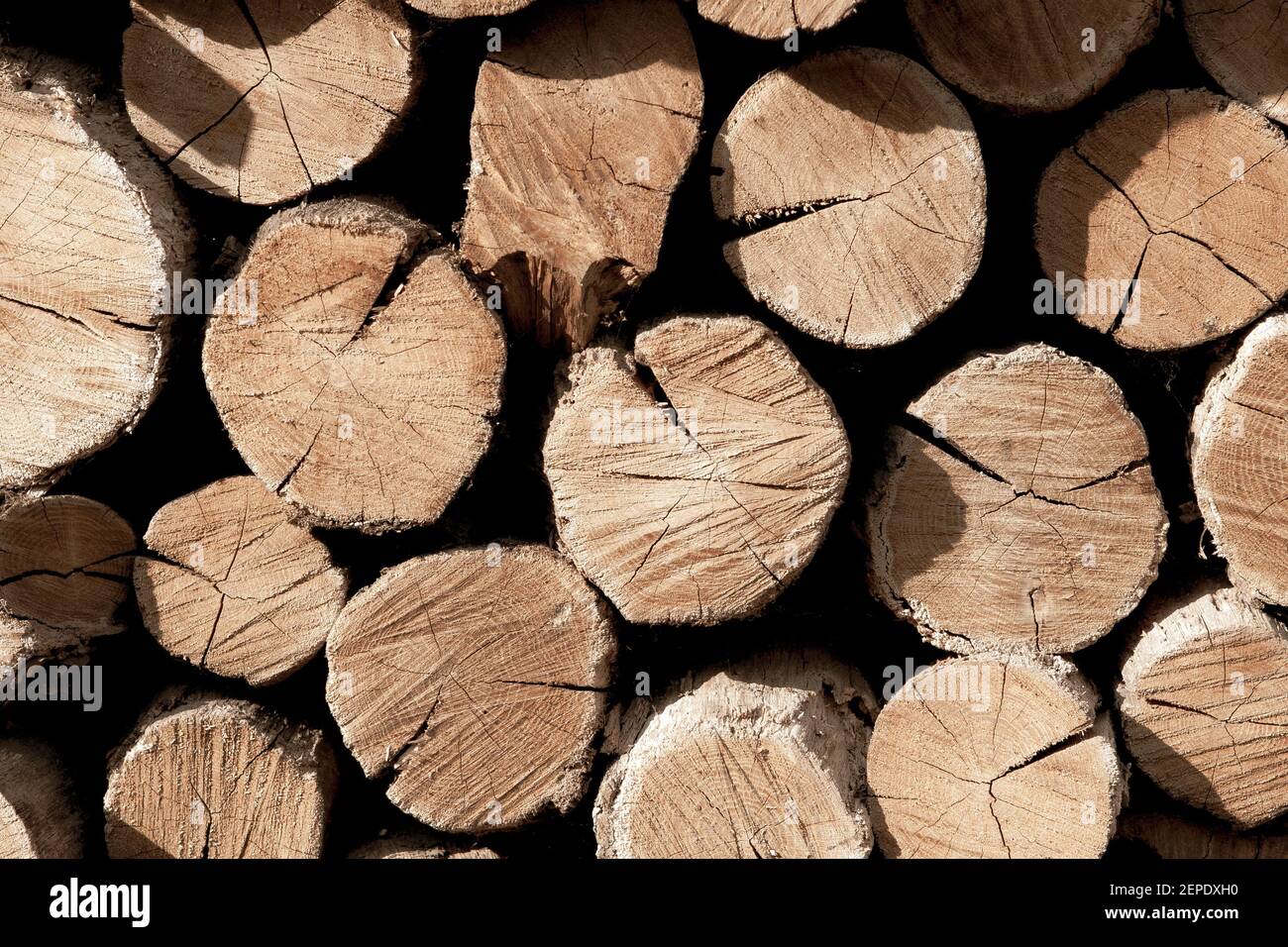 wooden logs pattern backdrop. old oak tree material Stock Photo - Alamy