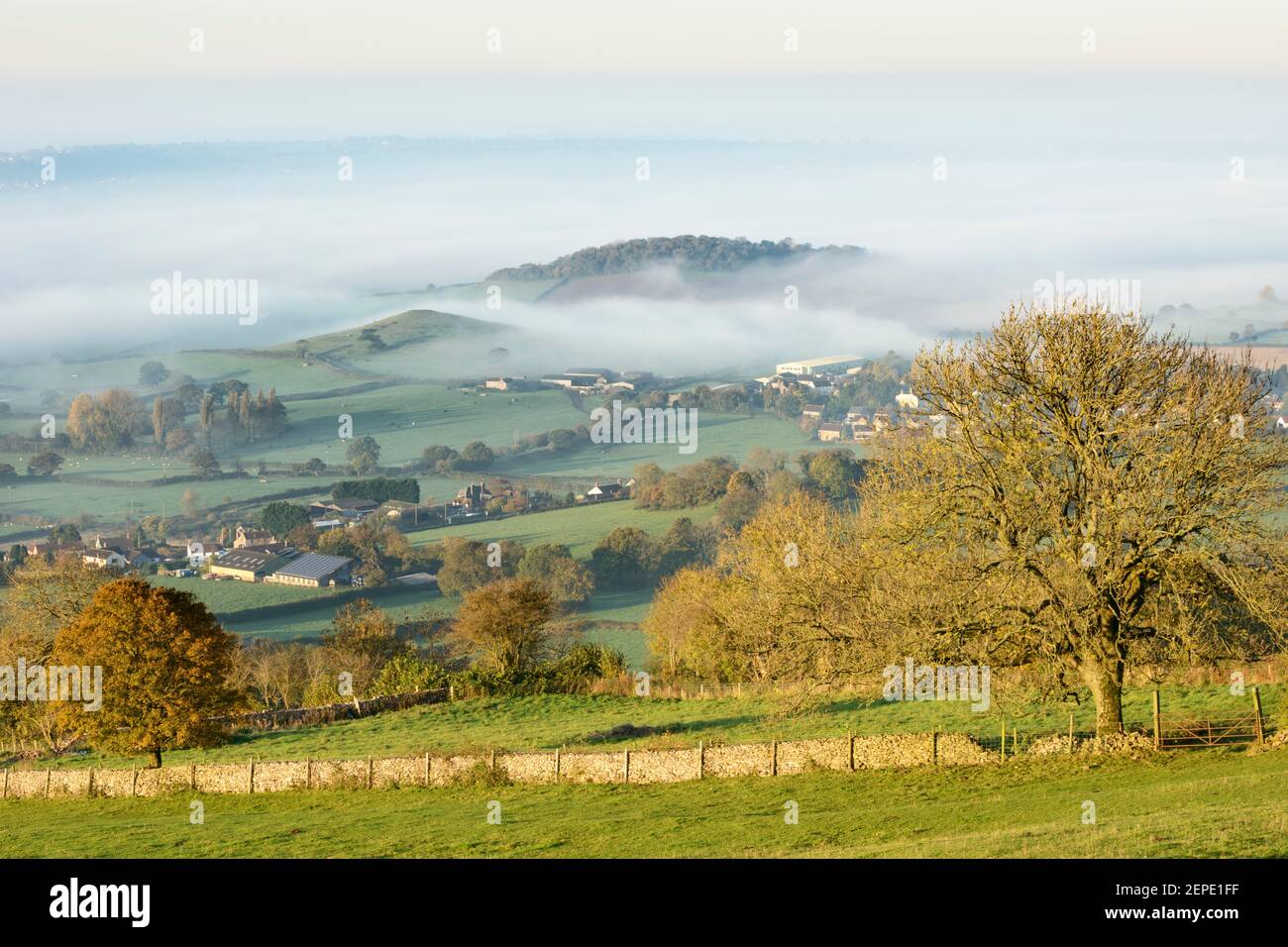 Somerset levels somerset hi-res stock photography and images - Alamy