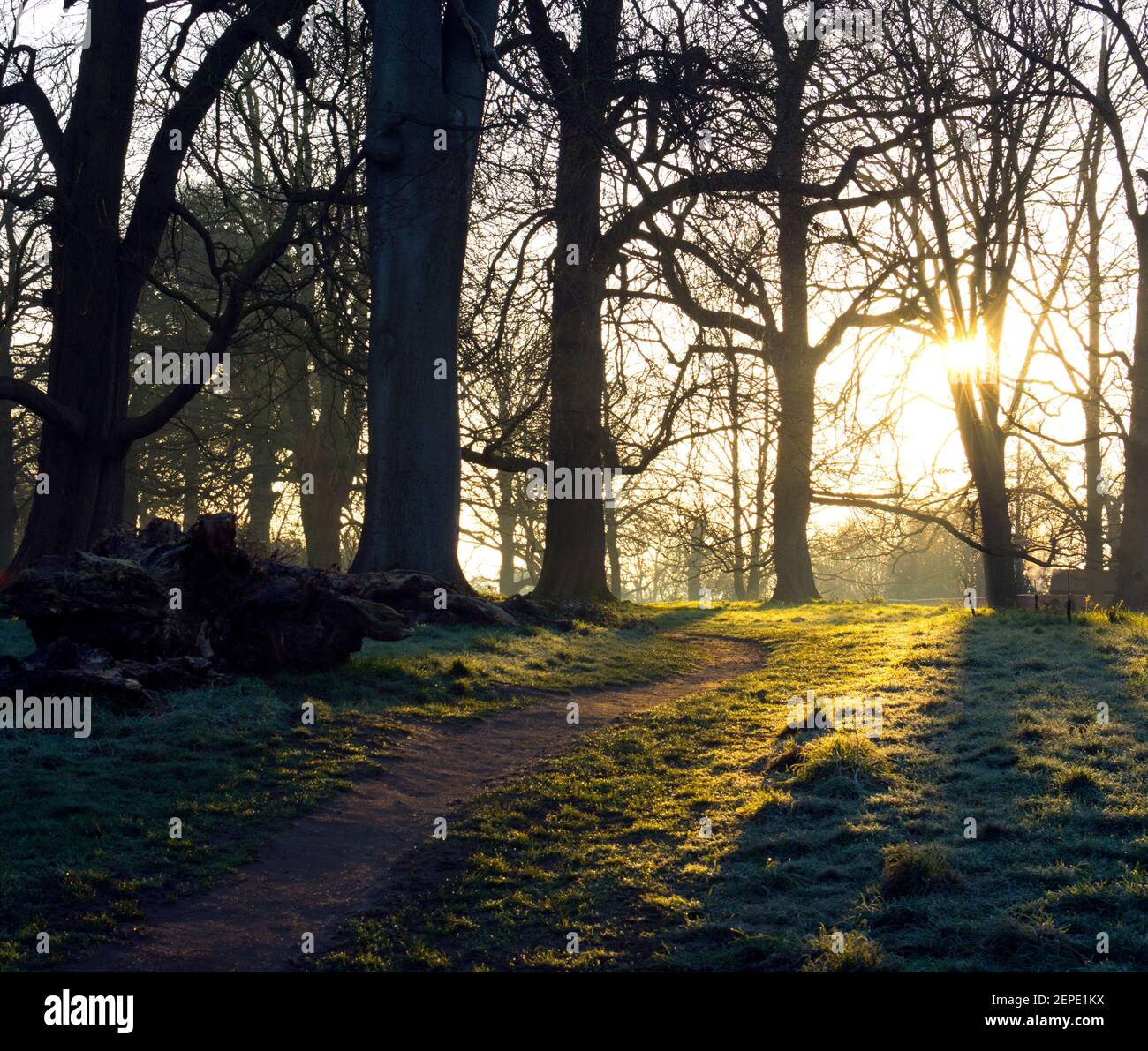 Priory Park, early morning in winter, Warwick, Warwickshire, England ...