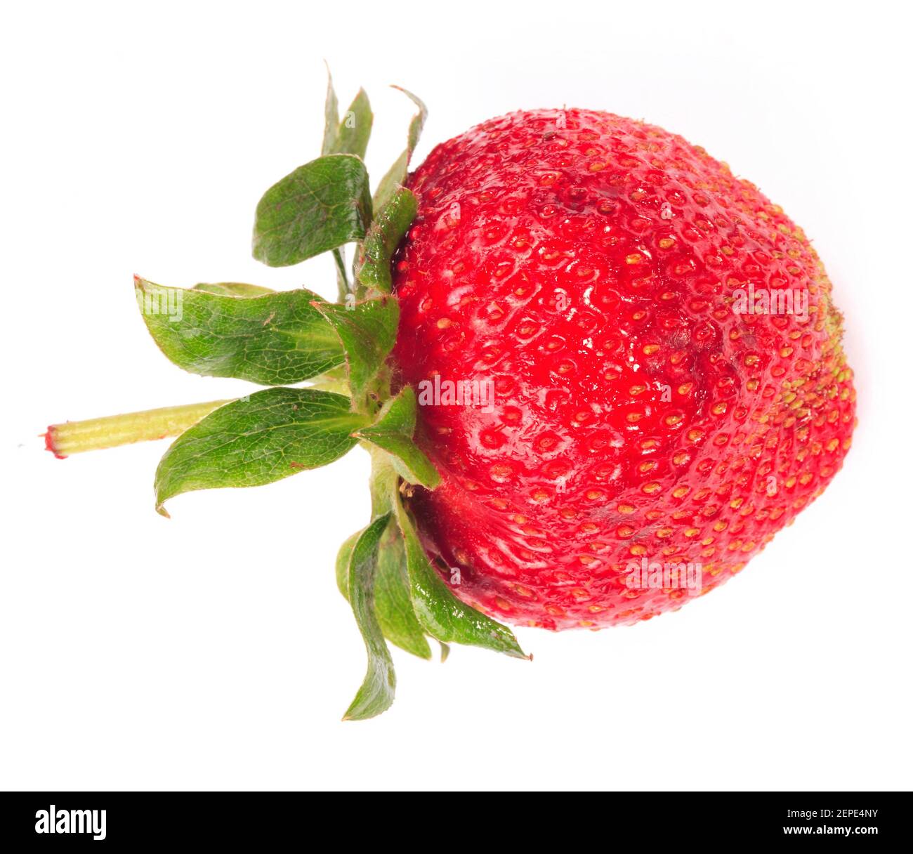 one raw red Strawberry Stock Photo - Alamy