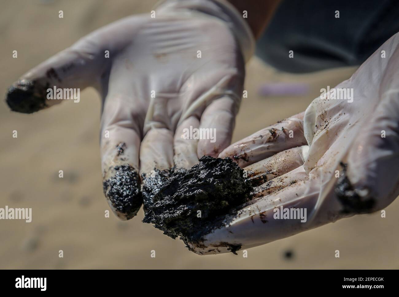 Oil polluted beaches hi-res stock photography and images - Alamy