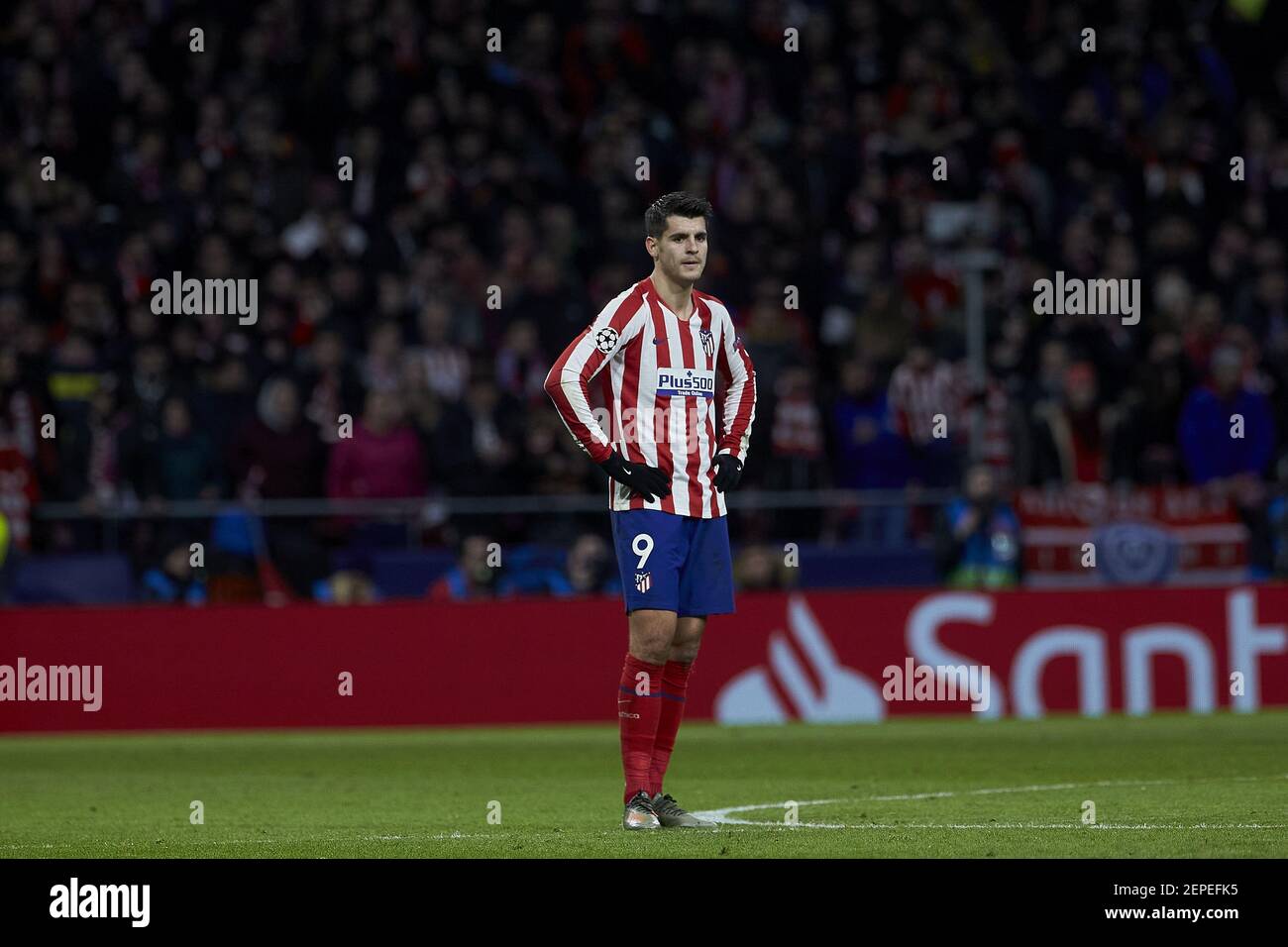 Alvaro Morata of Atletico de Madrid during the match Atletico de Madrid ...