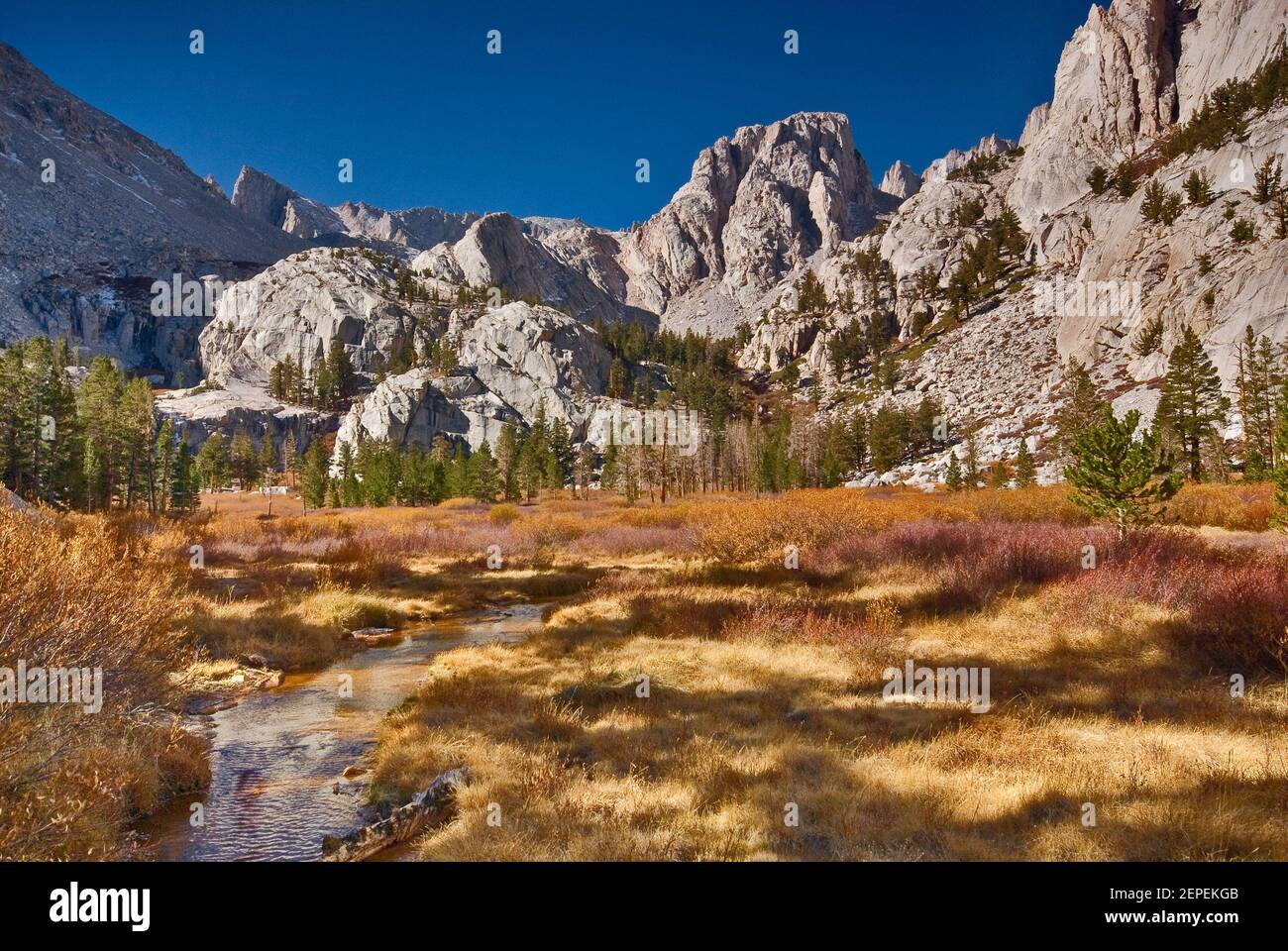 Thor Peak over Bighorn Park Marsh at Mt Whitney Trail, autumn, John ...