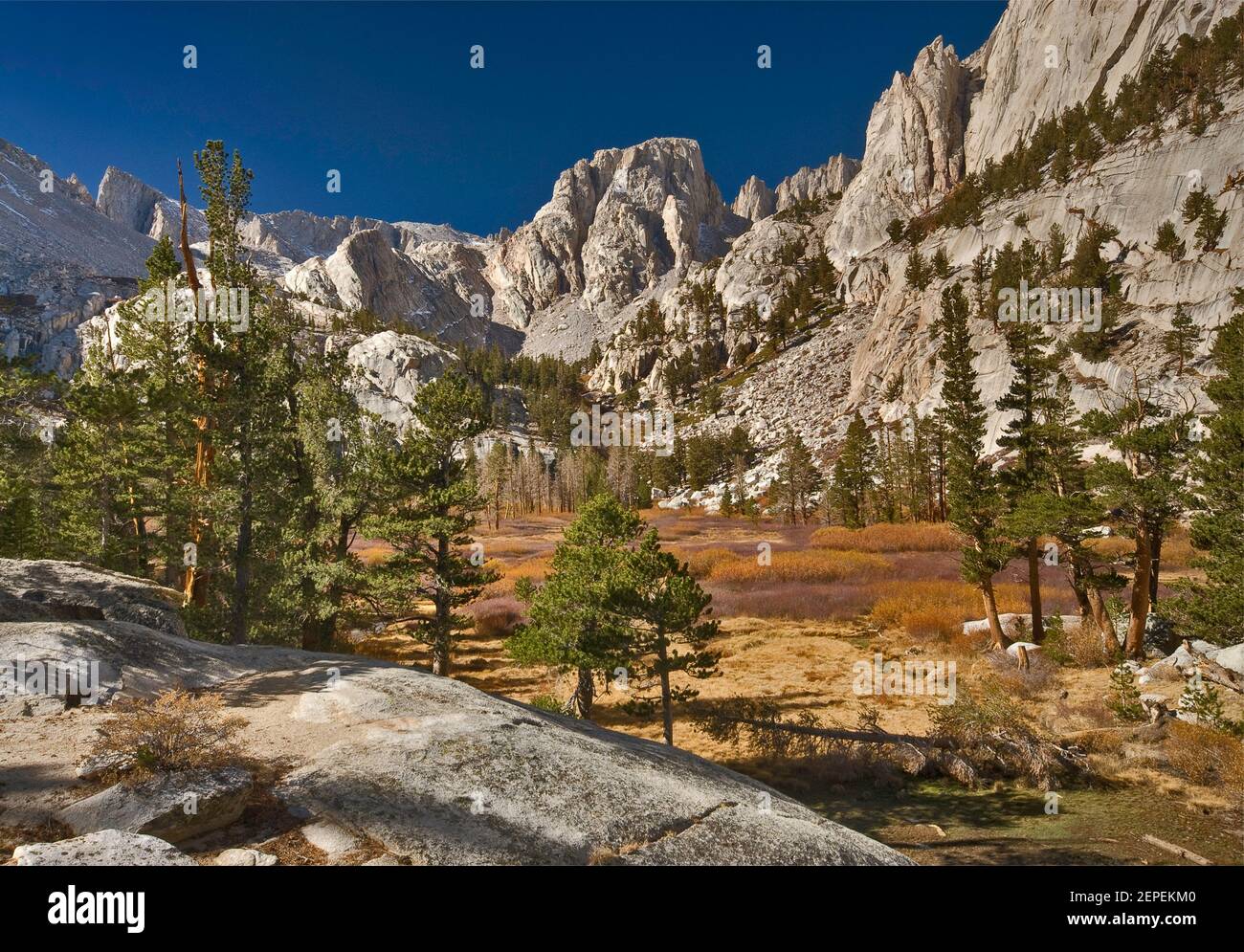 Thor Peak over Bighorn Park Marsh at Mt Whitney Trail, autumn, John ...