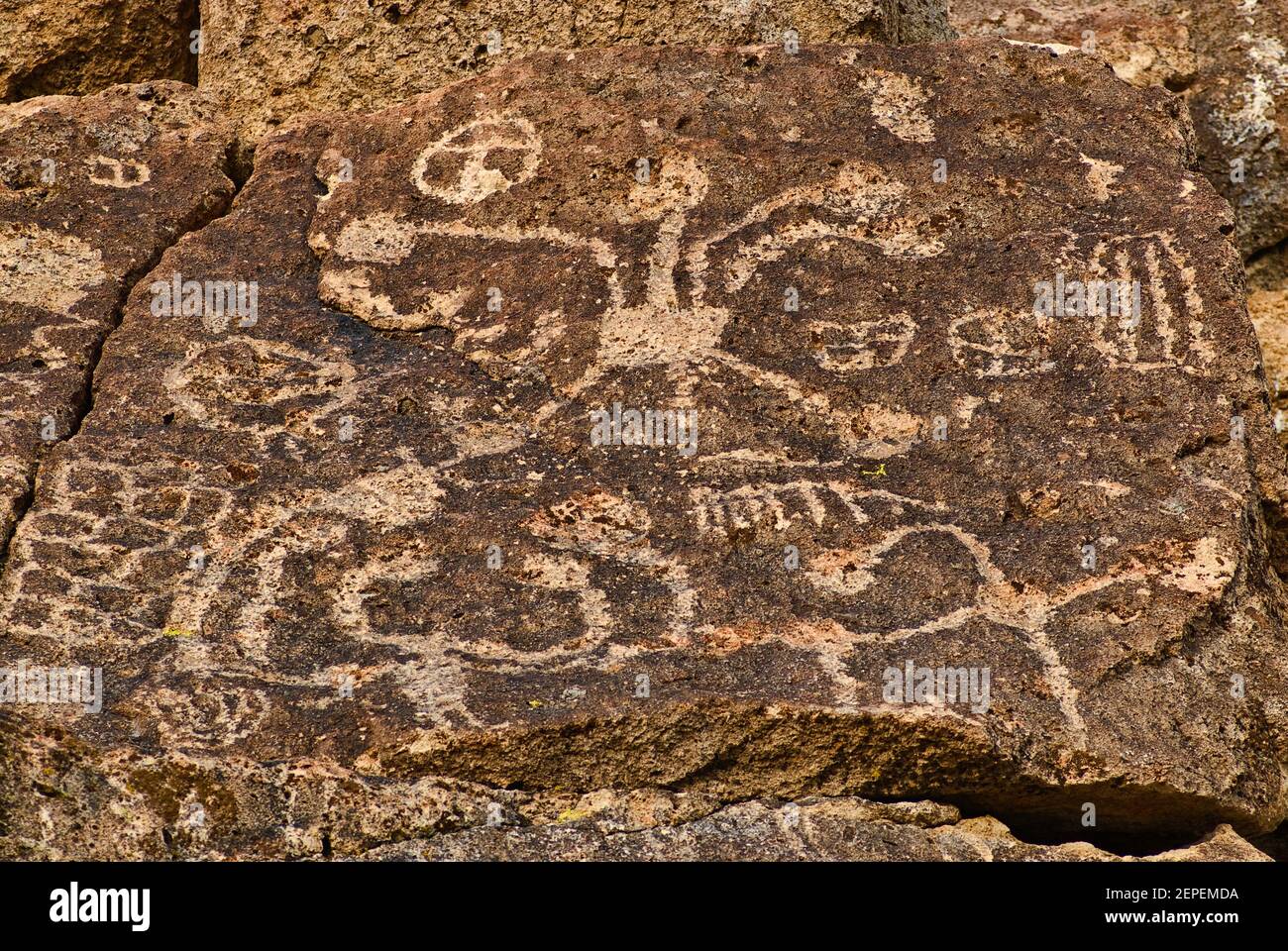 Red Canyon Petroglyphs at Fish Slough Road in Chalfant Valley near ...