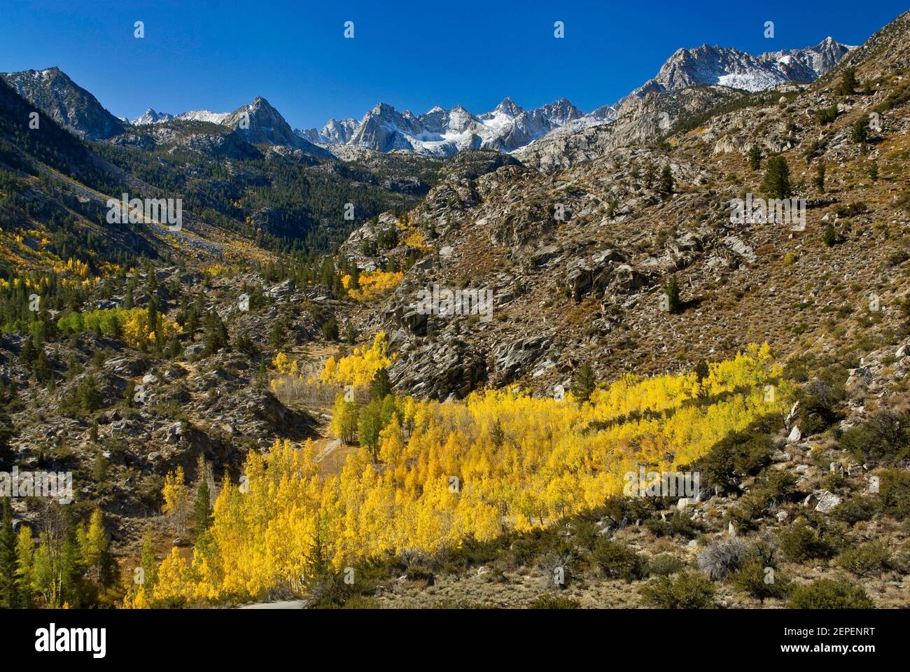 Picture Peak, Mount Haeckel, Mount Wallace, aspens in autumn, Lake ...