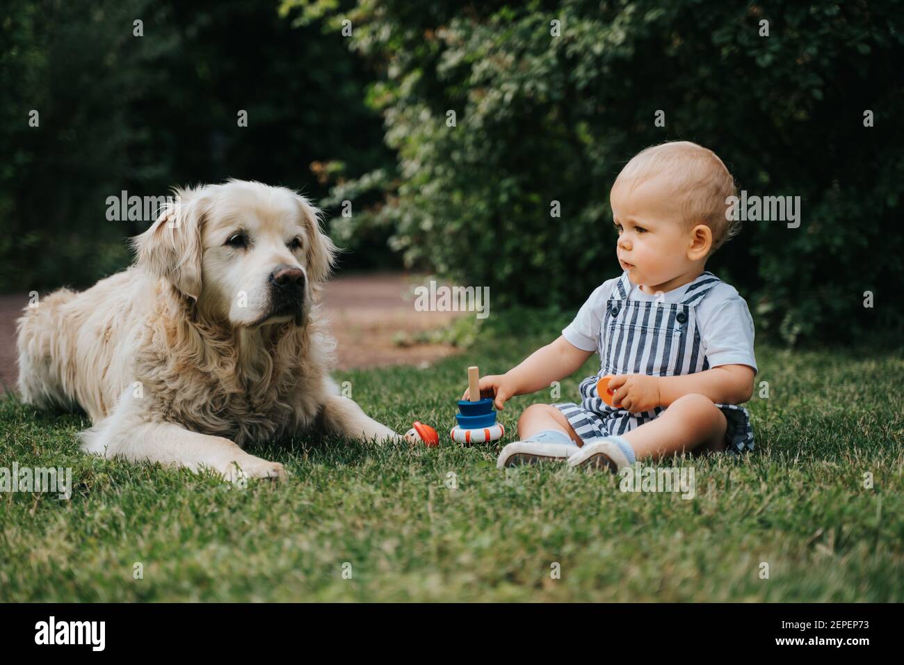 Cute Toddler With Golden Retriever Stock Photo Alamy