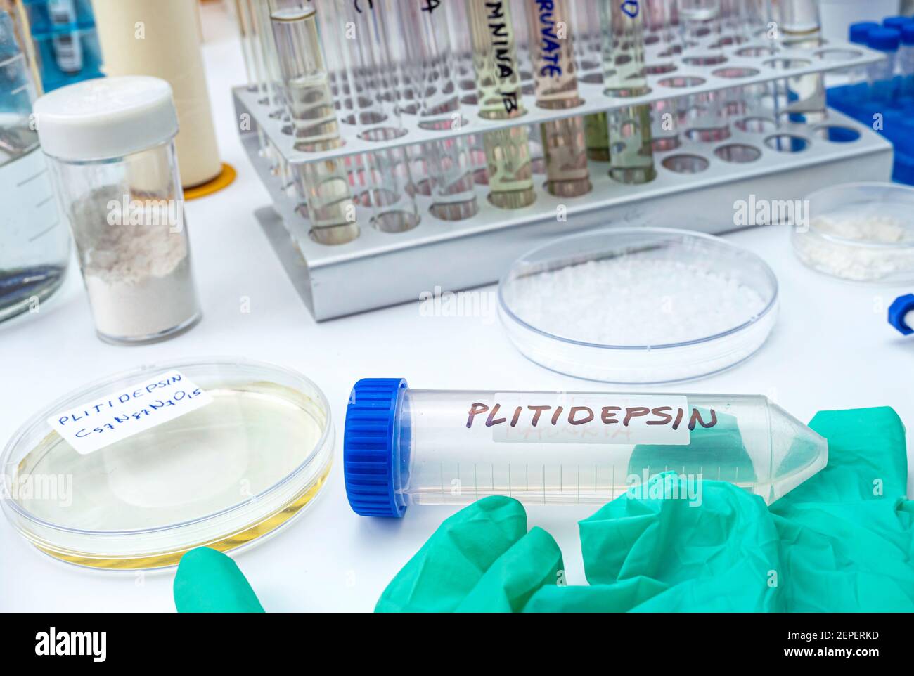 plitidepsin, has a much more potent antiviral efficacy against SARS-CoV ...