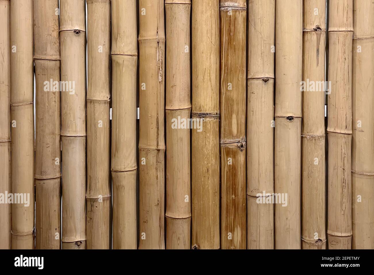 Bamboo Art Design