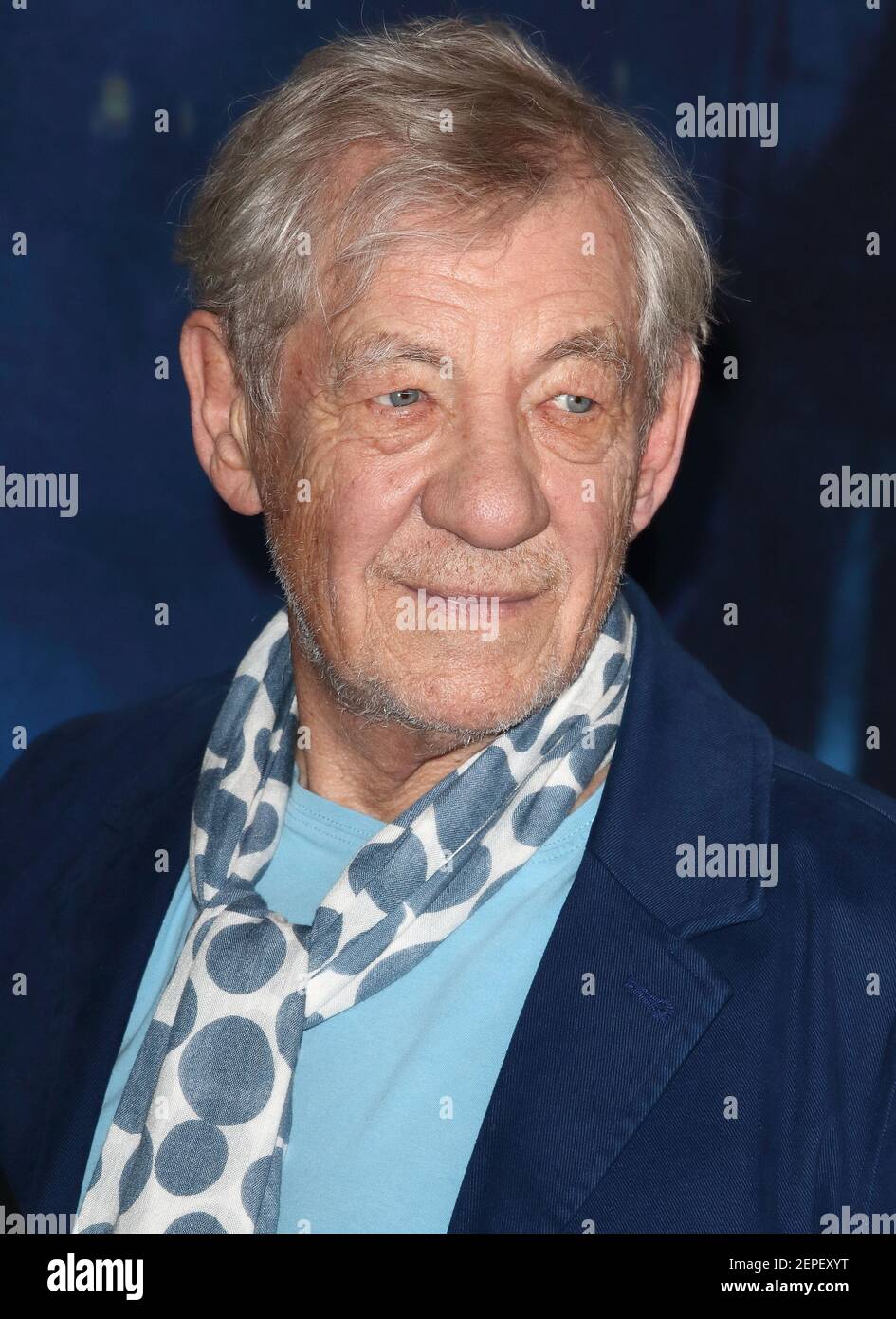 Sir Ian McKellen attends the Cats film photocall at the Corinthia Hotel ...