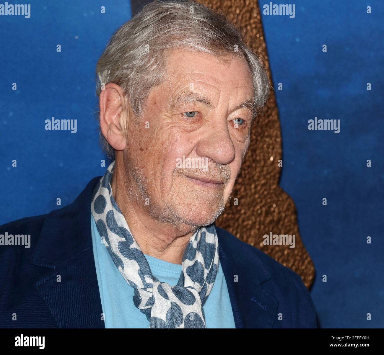 Sir Ian McKellen attends the Cats film photocall at the Corinthia Hotel ...
