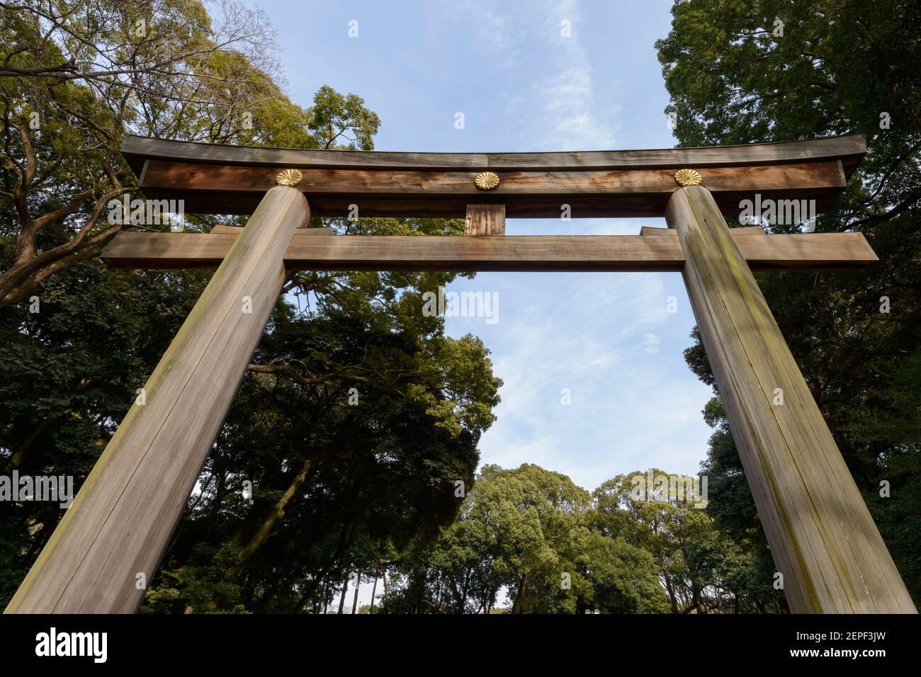 A giant Torii gate leading to the Meiji Shrine in Tokyo, Japan Stock ...