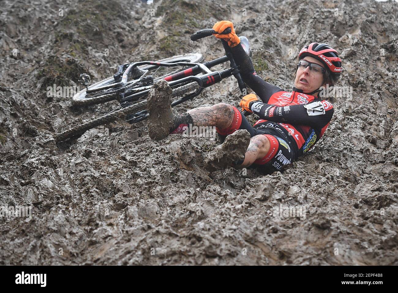 Belgian verschueren hi-res stock photography and images - Alamy