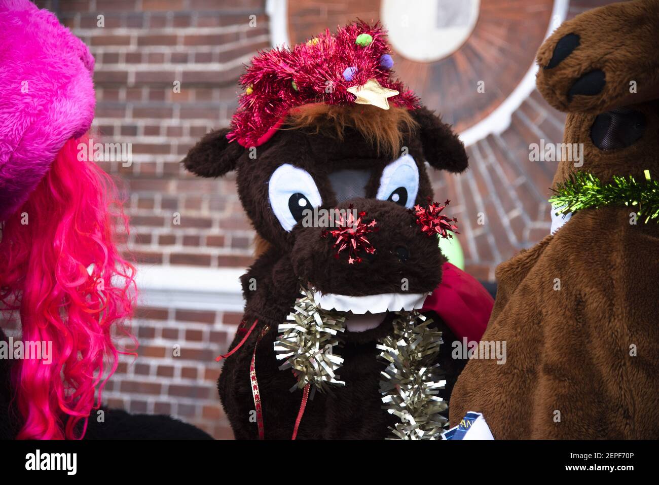 The 10th annual pantomime horse race in Greenwich, London, UK on ...