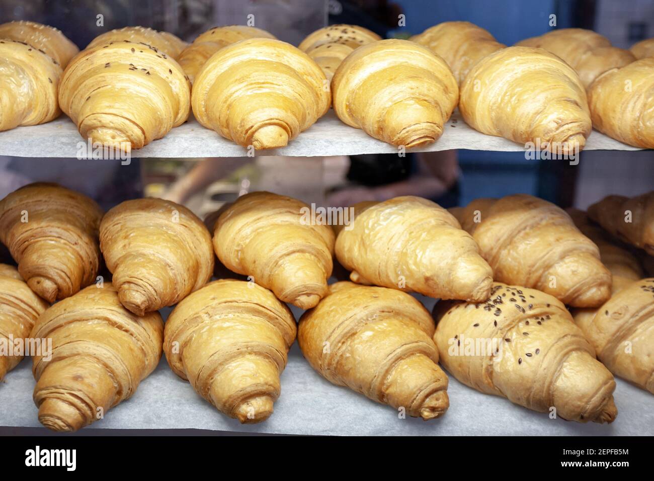 collection of fresh croissants at shelf of bakery store. testy french ...