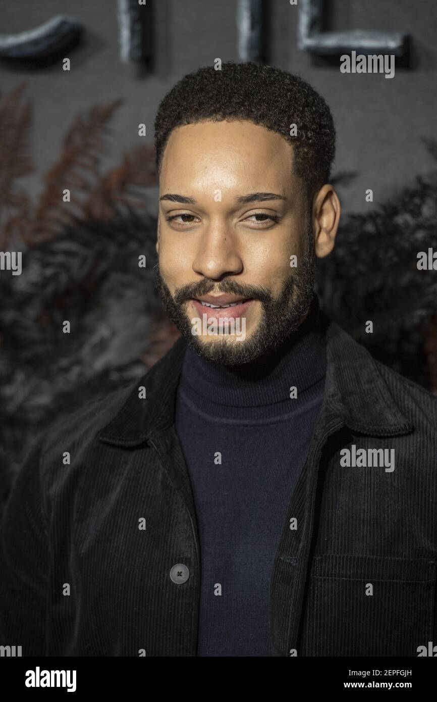 Royce Pierreson attends the World Premiere of Netflix's "The Witcher ...