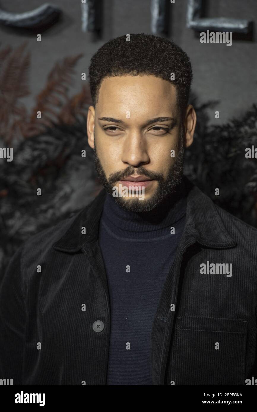 Royce Pierreson attends the World Premiere of Netflix's "The Witcher ...