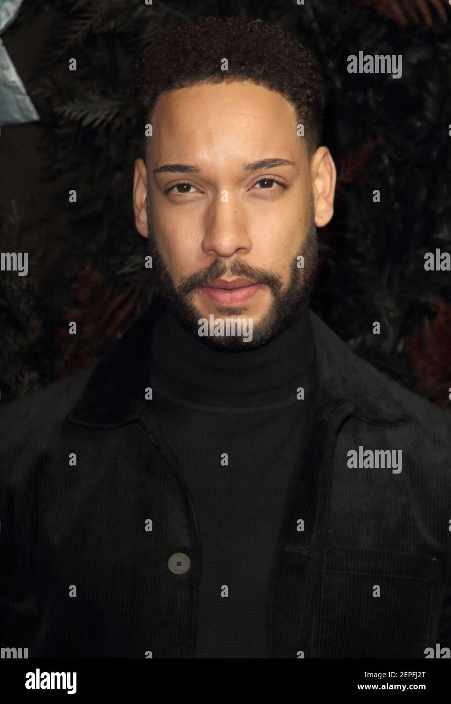 Royce Pierreson attends the world premiere of Netflix's The Witcher at ...