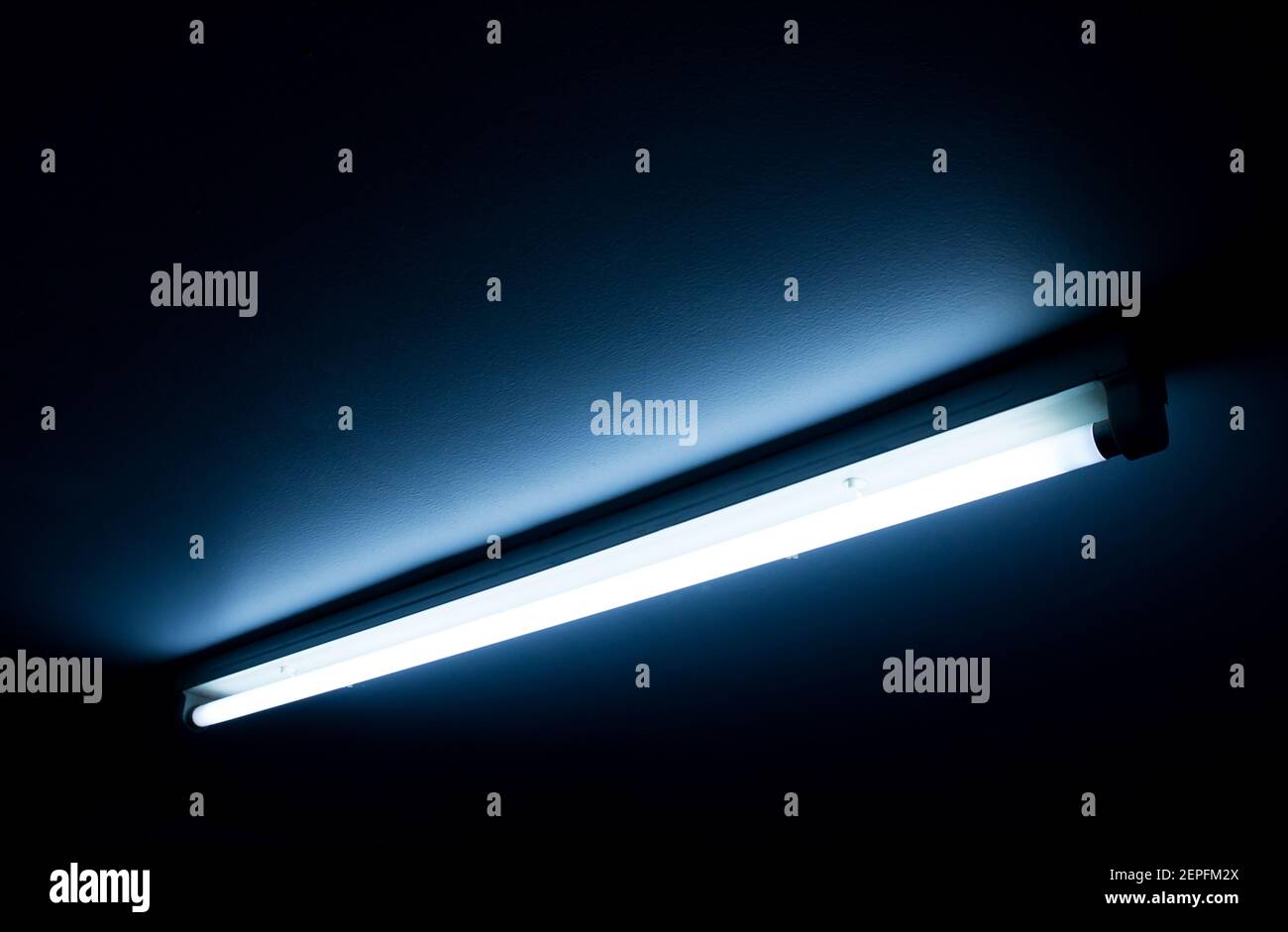 Detail of a fluorescent tube mounted on a wall, false green color light ...