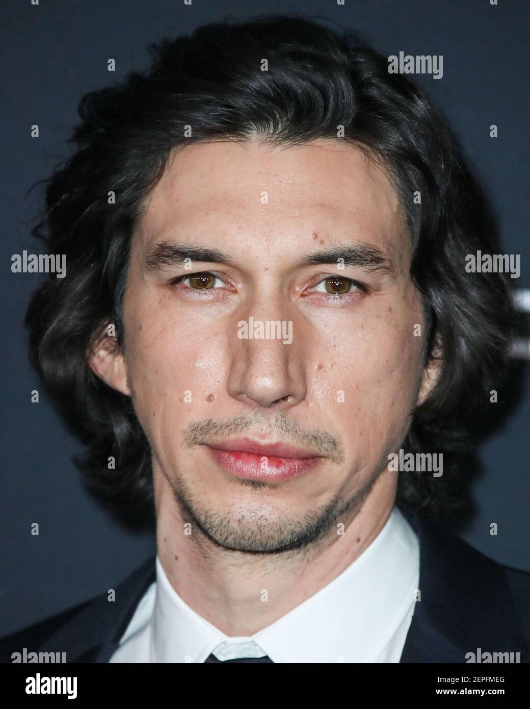 HOLLYWOOD, LOS ANGELES, CALIFORNIA, USA - DECEMBER 16: Actor Adam ...