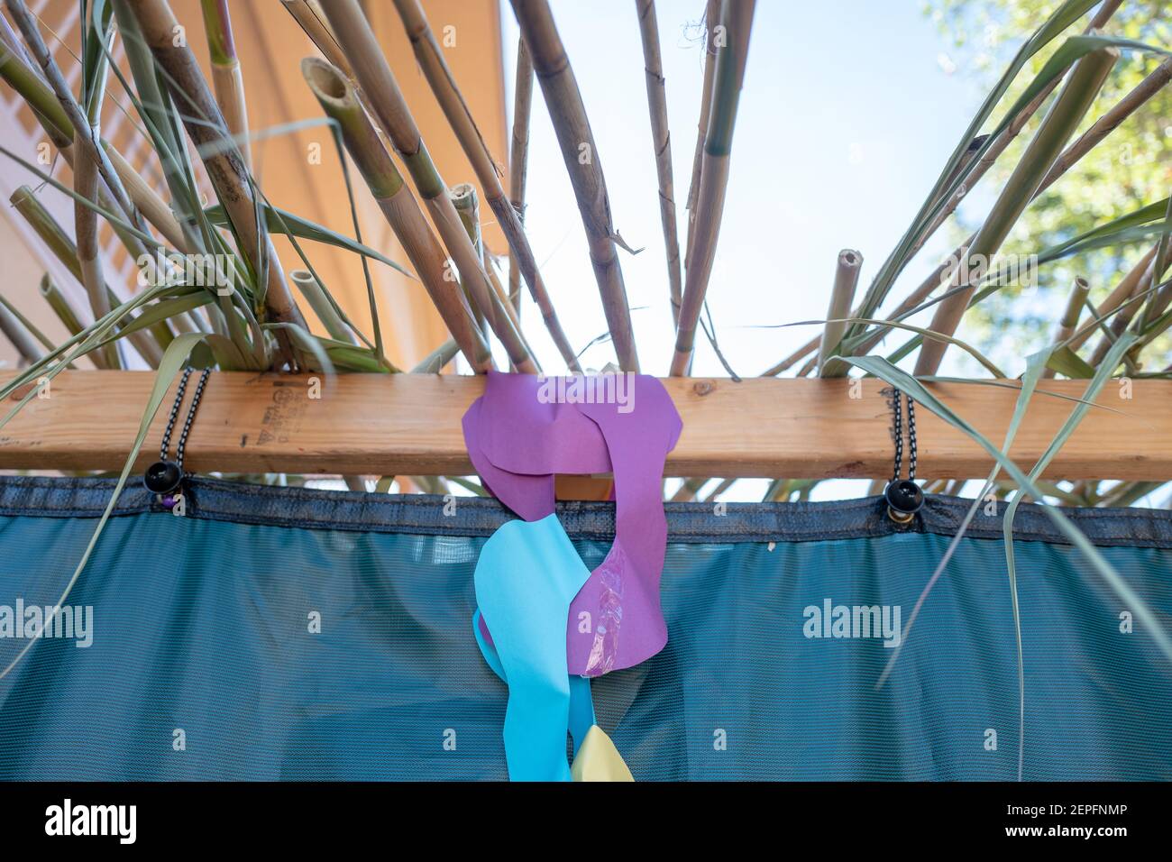 Close-up of top of a Sukkah, a temporary outdoor hut constructed and ...