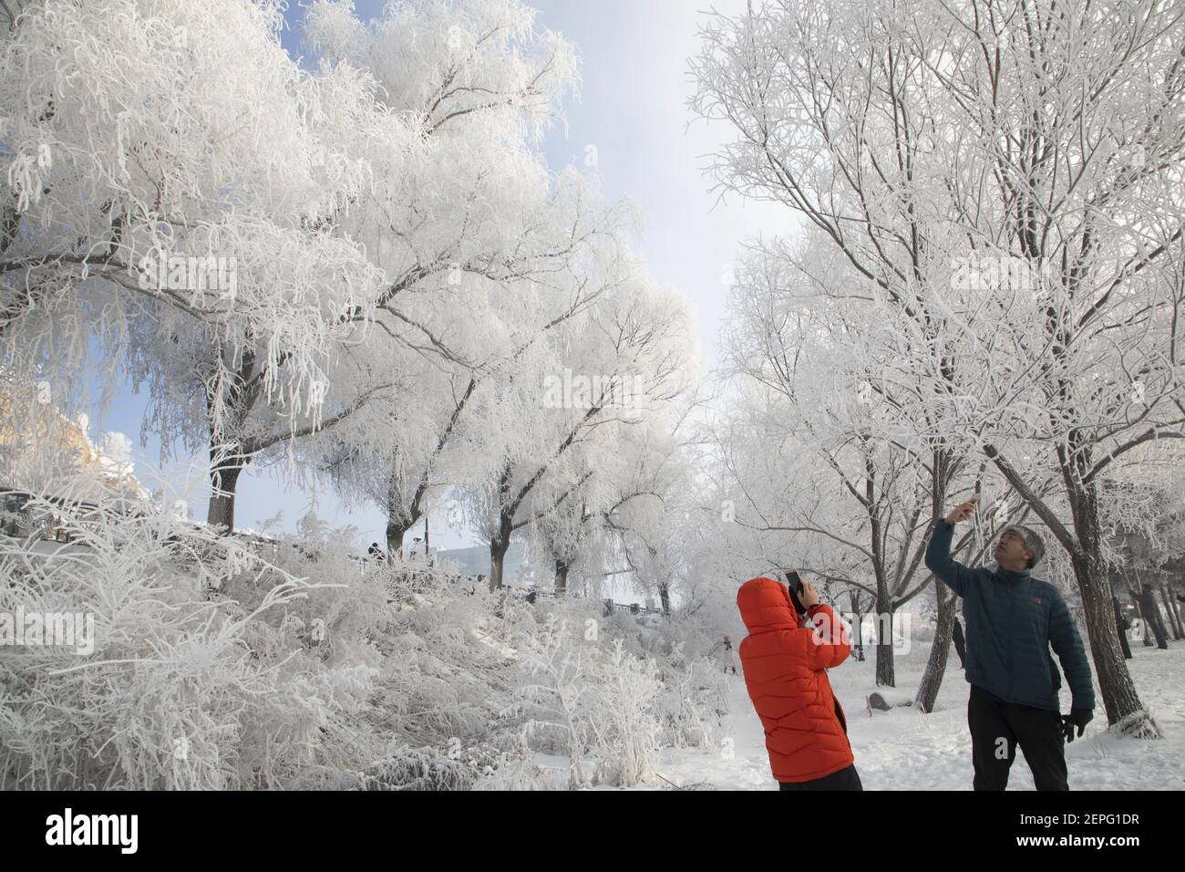 Jilin,CHINA-A scene of rime at the small rime island by the Songhua ...