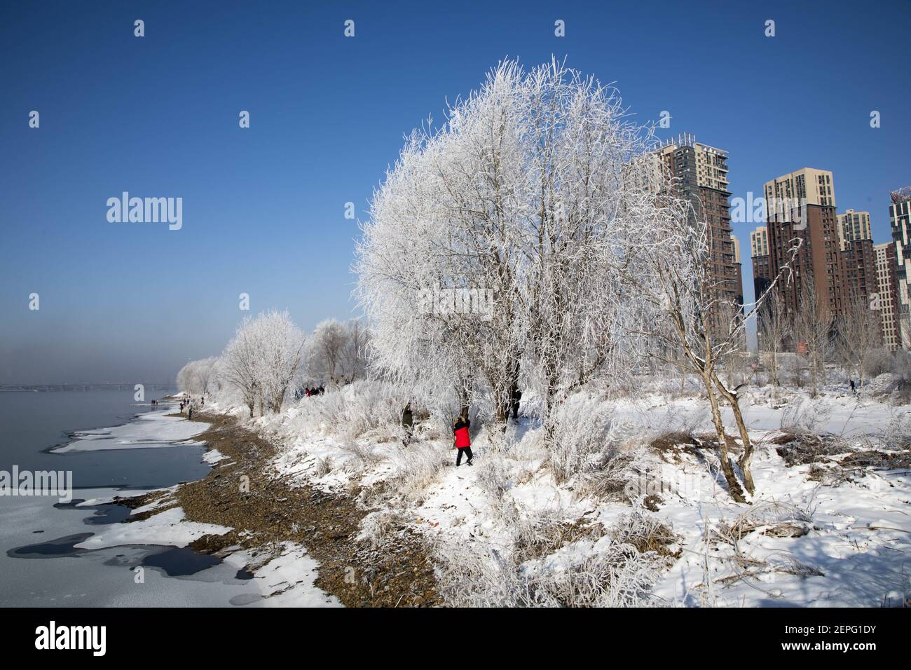 Jilin,CHINA-A scene of rime at the small rime island by the Songhua ...