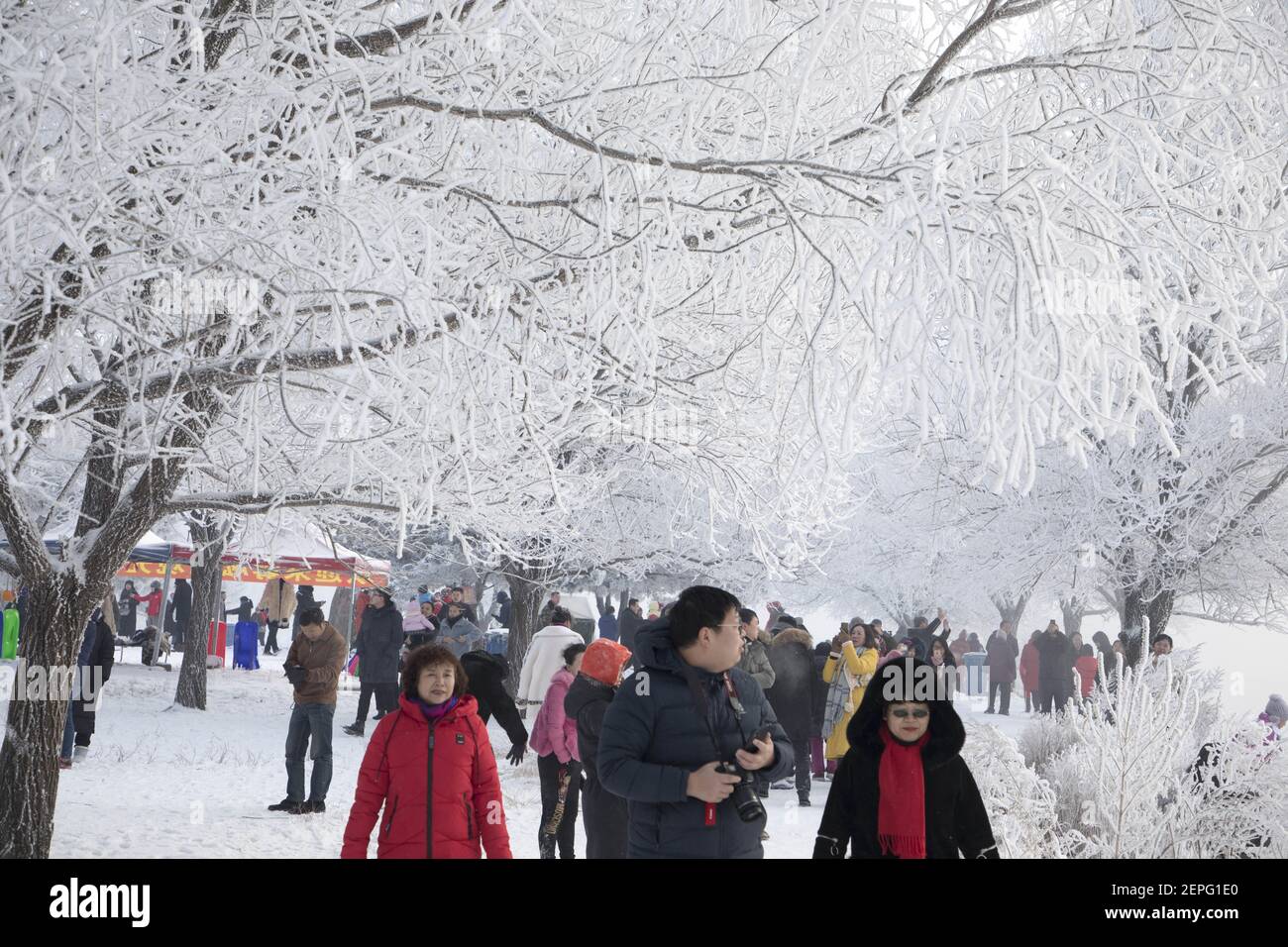 Jilin,CHINA-A scene of rime at the small rime island by the Songhua ...